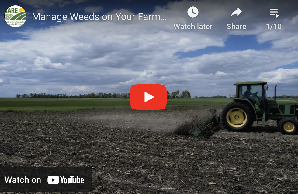 Battling Herbicide-Resistant Weeds with Cover Crops - SARE North Central