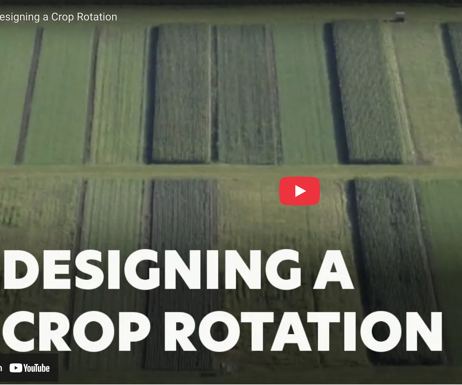 Battling Herbicide-Resistant Weeds with Cover Crops - SARE North Central
