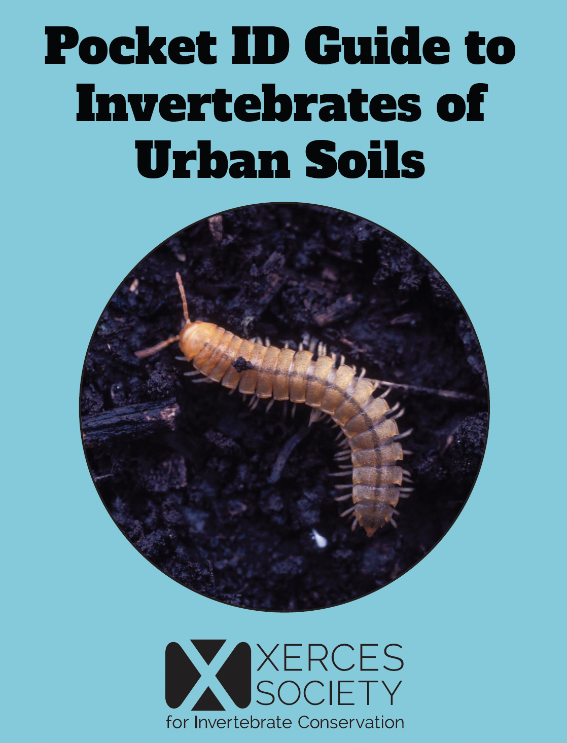 Pocket ID Guide to Invertebrates of Urban Soils - SARE North Central